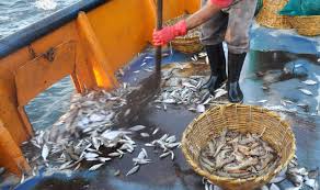 discard是什么意思_discard的中文翻译_音标_读音_用法_例句_在线英汉翻译 - 给力词典