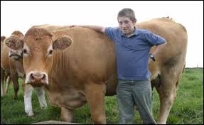 docile是什么意思_docile的中文翻译_音标_读音_用法_例句_在线英汉翻译 - 给力词典