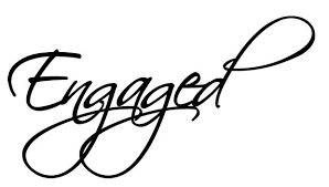 engaged是什么意思_engaged的中文翻译_音标_读音_用法_例句_在线英汉翻译 - 给力词典