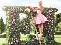 especially是什么意思_especially的中文翻译_音标_读音_用法_例句_在线英汉翻译 - 给力词典