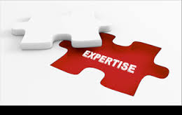 expertise是什么意思_expertise的中文翻译_音标_读音_用法_例句_在线英汉翻译 - 给力词典