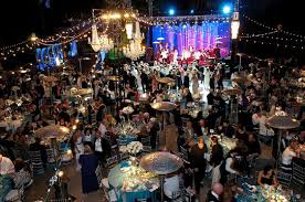 gala是什么意思_gala的中文翻译_音标_读音_用法_例句_在线英汉翻译 - 给力词典