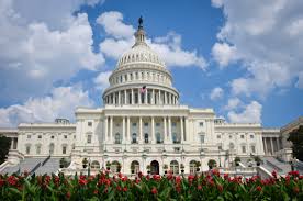 government是什么意思_government的中文翻译_音标_读音_用法_例句_在线英汉翻译 - 给力词典