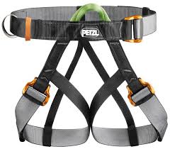 harness是什么意思_harness的中文翻译_音标_读音_用法_例句_在线英汉翻译 - 给力词典