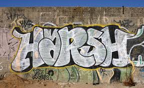 harsh是什么意思_harsh的中文翻译_音标_读音_用法_例句_在线英汉翻译 - 给力词典