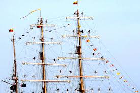 mast是什么意思_mast的中文翻译_音标_读音_用法_例句_在线英汉翻译 - 给力词典