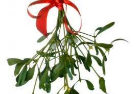 mistletoe是什么意思_mistletoe的中文翻译_音标_读音_用法_例句_在线英汉翻译 - 给力词典