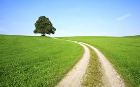 path是什么意思_path的中文翻译_音标_读音_用法_例句_在线英汉翻译 - 给力词典