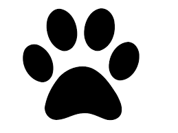 paw是什么意思_paw的中文翻译_音标_读音_用法_例句_在线英汉翻译 - 给力词典