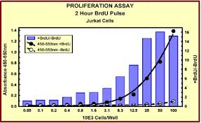 proliferation是什么意思_proliferation的中文翻译_音标_读音_用法_例句_在线英汉翻译 - 给力词典