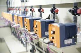 prominent是什么意思_prominent的中文翻译_音标_读音_用法_例句_在线英汉翻译 - 给力词典