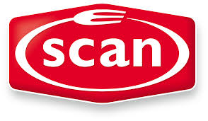 scan是什么意思_scan的中文翻译_音标_读音_用法_例句_在线英汉翻译 - 给力词典