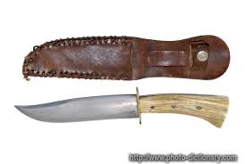 sheath是什么意思_sheath的中文翻译_音标_读音_用法_例句_在线英汉翻译 - 给力词典