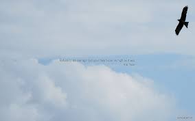 soar是什么意思_soar的中文翻译_音标_读音_用法_例句_在线英汉翻译 - 给力词典