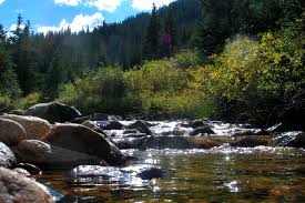 source是什么意思_source的中文翻译_音标_读音_用法_例句_在线英汉翻译 - 给力词典