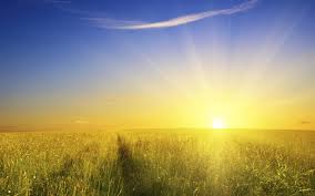 sunshine是什么意思_sunshine的中文翻译_音标_读音_用法_例句_在线英汉翻译 - 给力词典