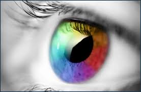 visual是什么意思_visual的中文翻译_音标_读音_用法_例句_在线英汉翻译 - 给力词典