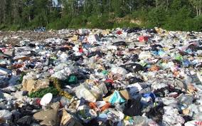 waste是什么意思_waste的中文翻译_音标_读音_用法_例句_在线英汉翻译 - 给力词典